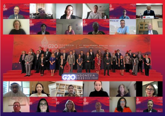 About the Development Working Group (DWG) – G20 Development Working Group